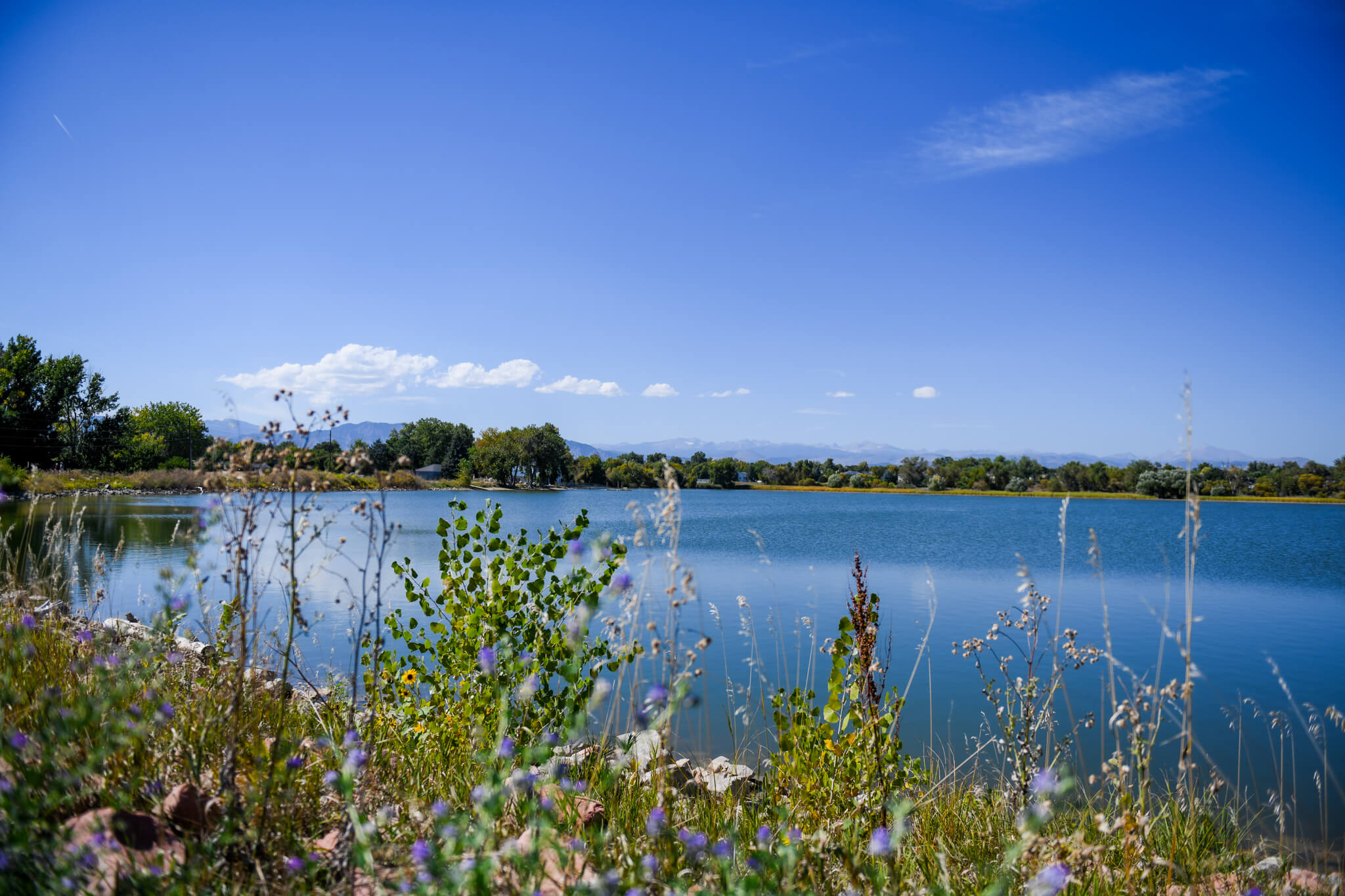 City Information - Lafayette Chamber of Commerce